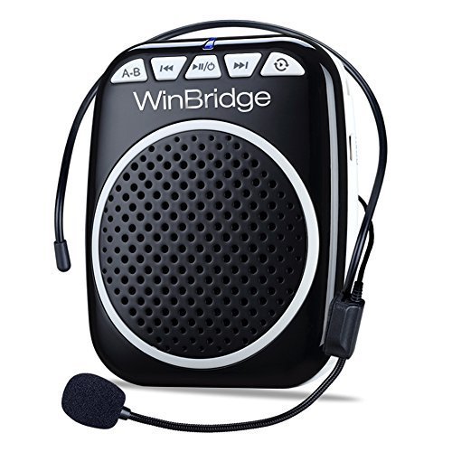 13 Best Portable PA Systems in 2021 [Buying Guide] - Music Critic