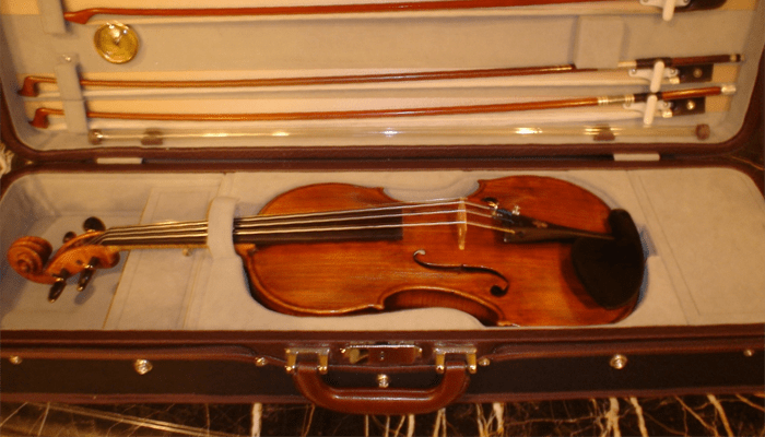 10 Best Violin Cases in 2023 (Review) - Music Critic